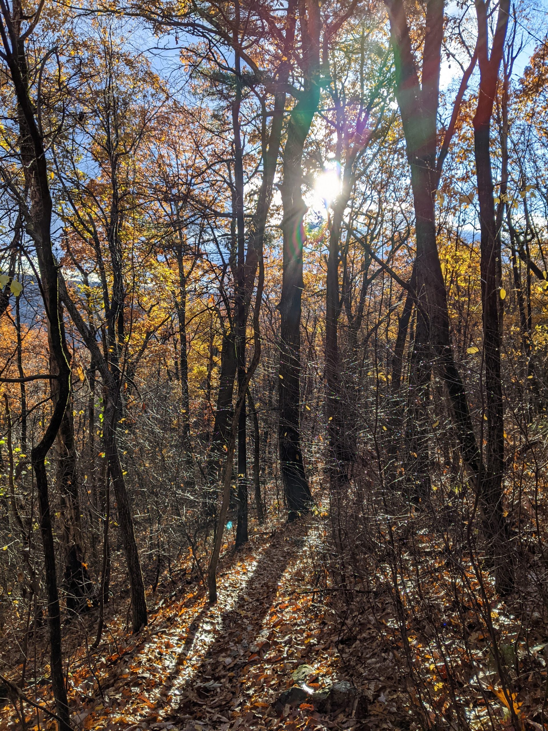 Appalachian Gothic at Hawk Mountain - expatalachians
